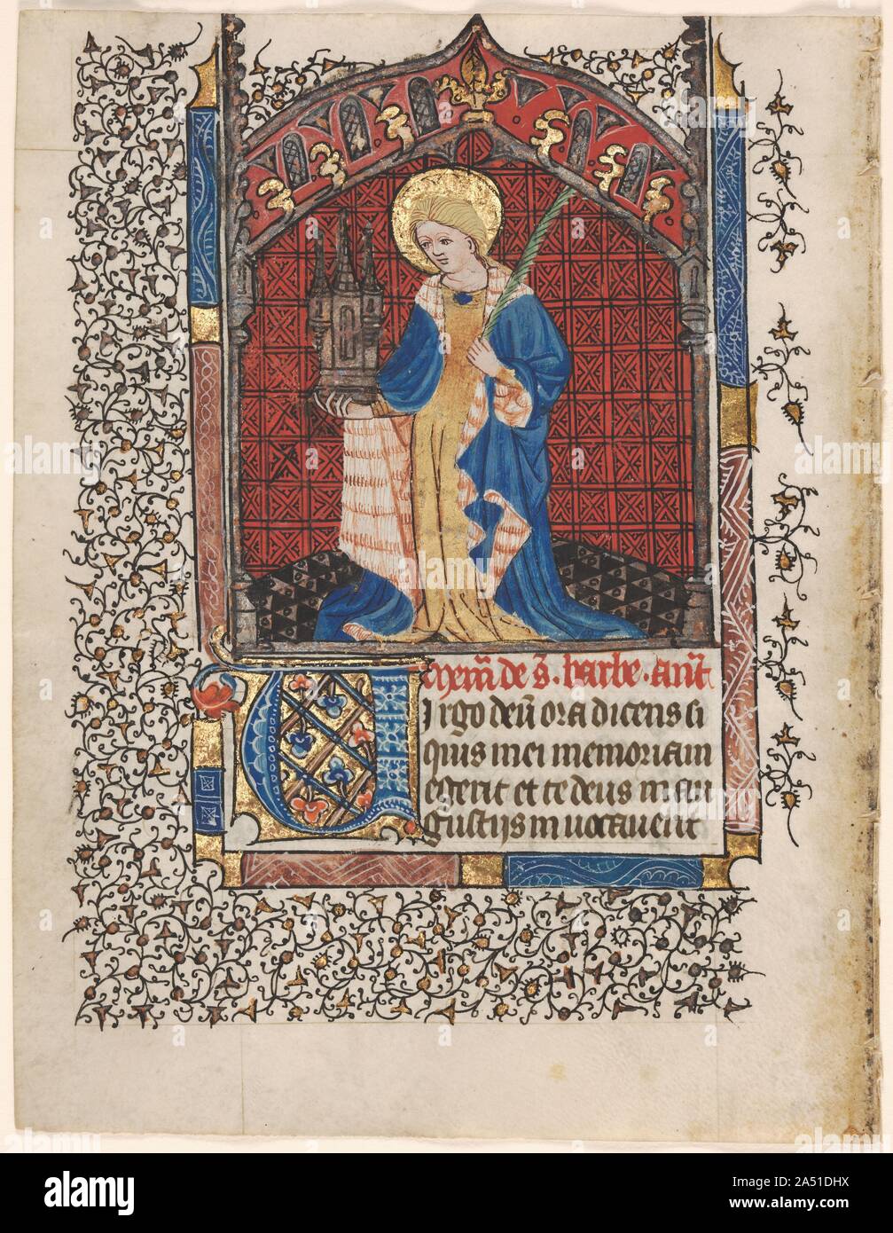 6 point leaf hi-res stock photography and images - Alamy