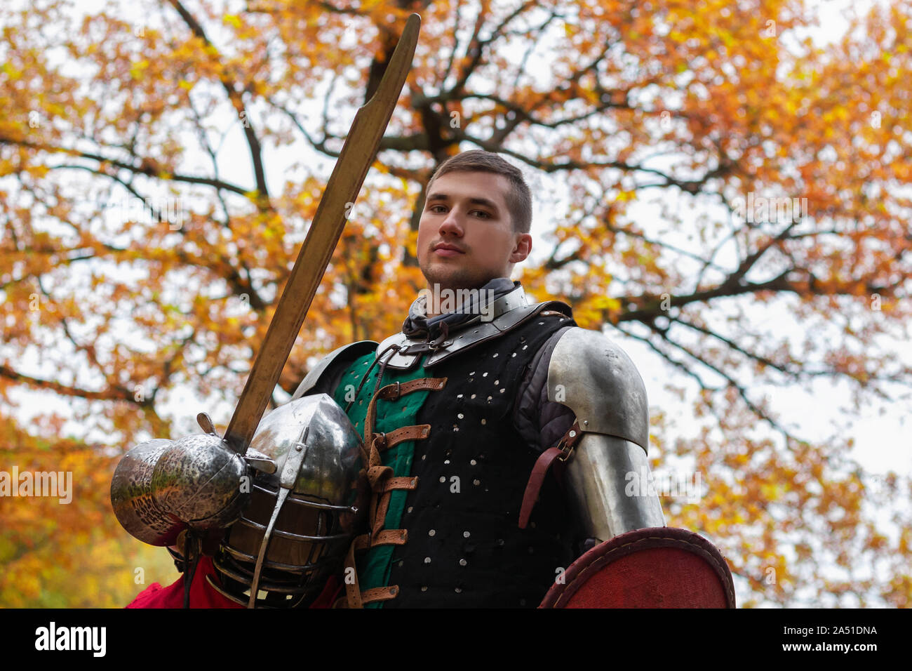 ancestry tree royal knight historic legend medieval sword Stock Photo ...