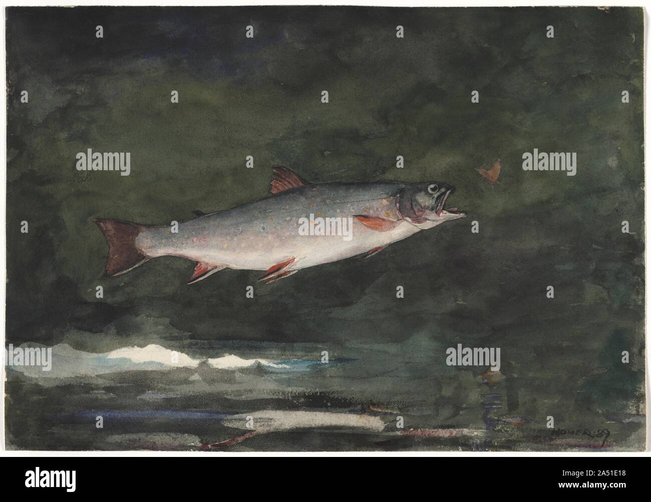 Leaping Trout, 1889. In 1886 Homer and his brother Charles were among a ...