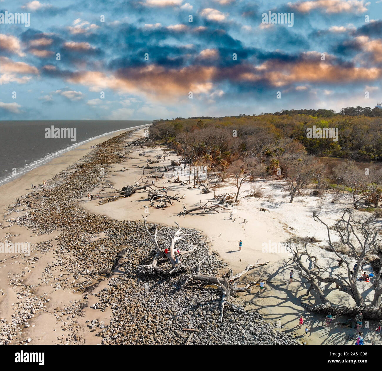 Driftwood beach ocean aerial hi-res stock photography and images - Alamy