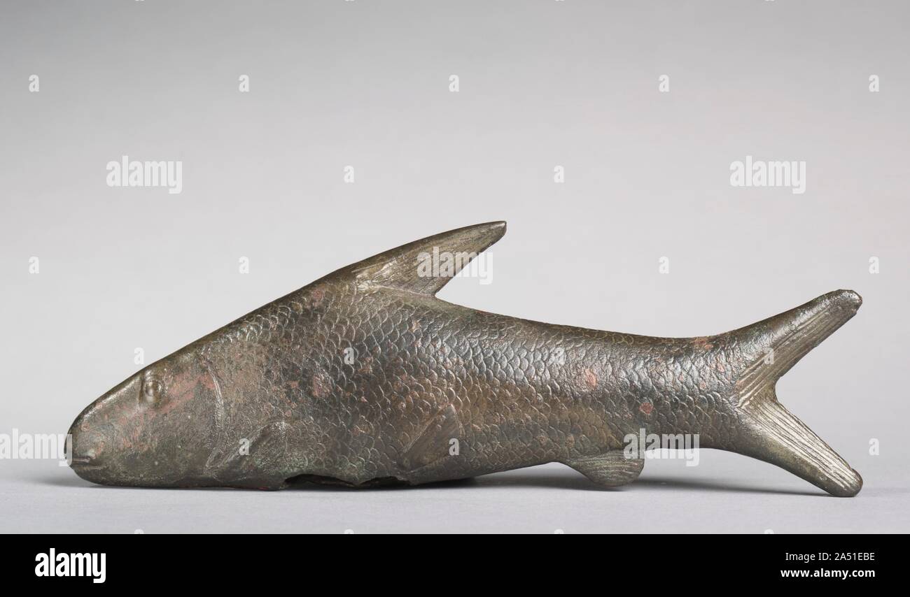 Lepidotus fish hi-res stock photography and images - Alamy