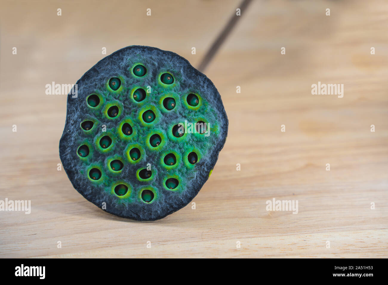 Lotus seed pod hi-res stock photography and images - Alamy