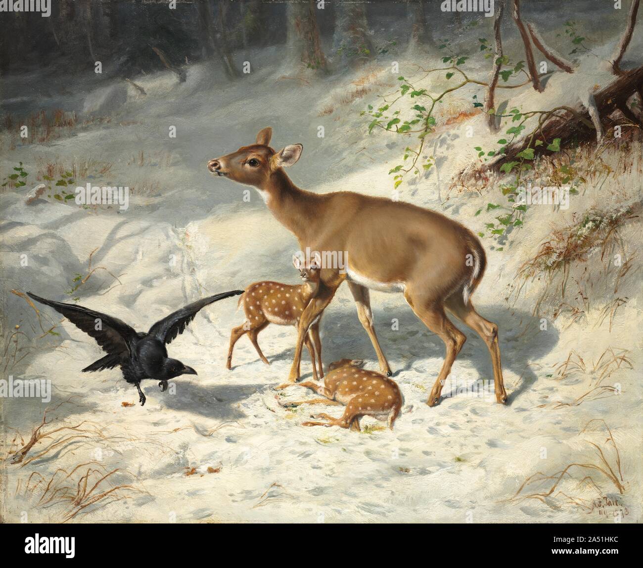 Solicitude hi-res stock photography and images - Alamy