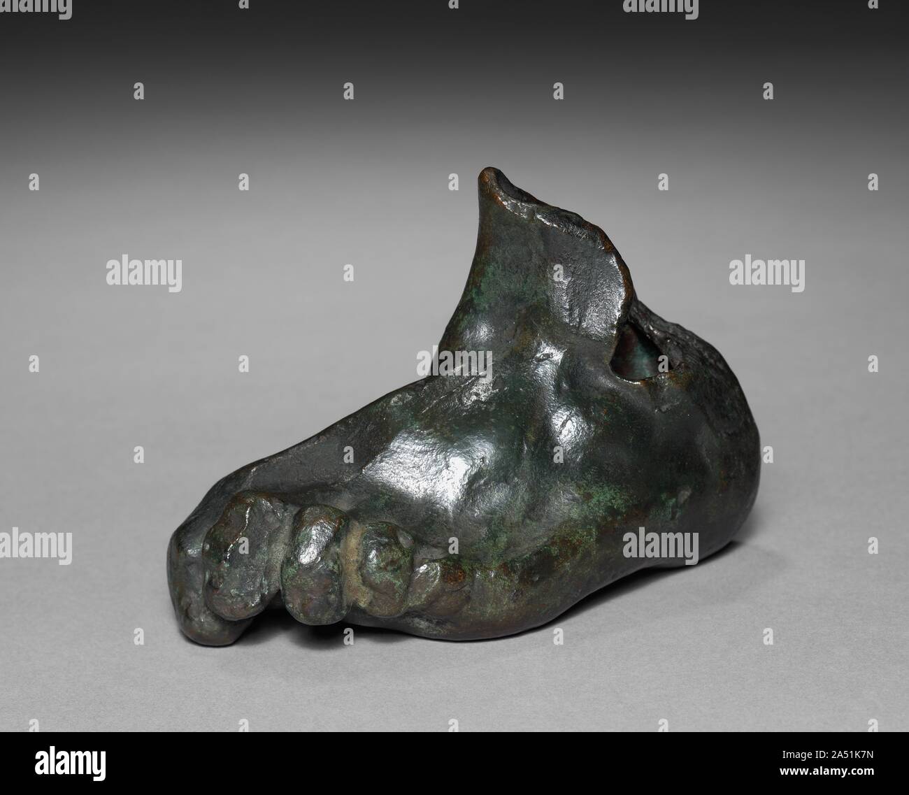 Model of a Foot (left foot), c. 1880 - 1917 Stock Photo - Alamy