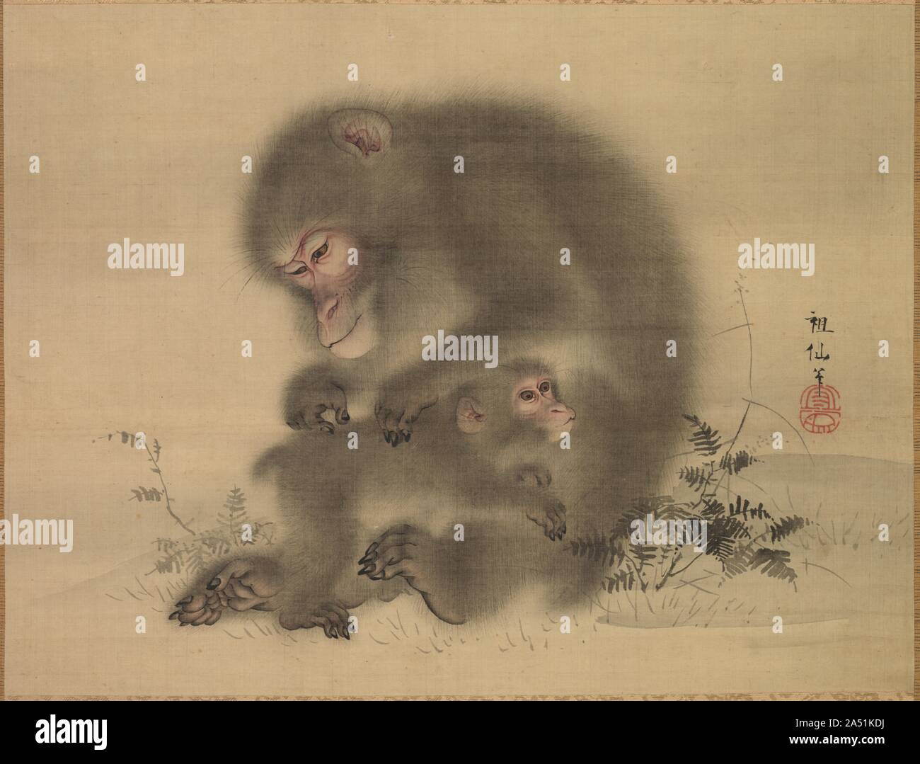 Monkeys, late 18th-early 19th century Stock Photo - Alamy