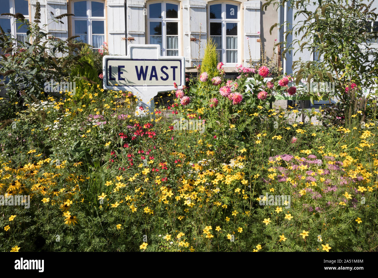 Le Wast, Pas de Calais, municipal planting, mixed flowers Stock Photo ...