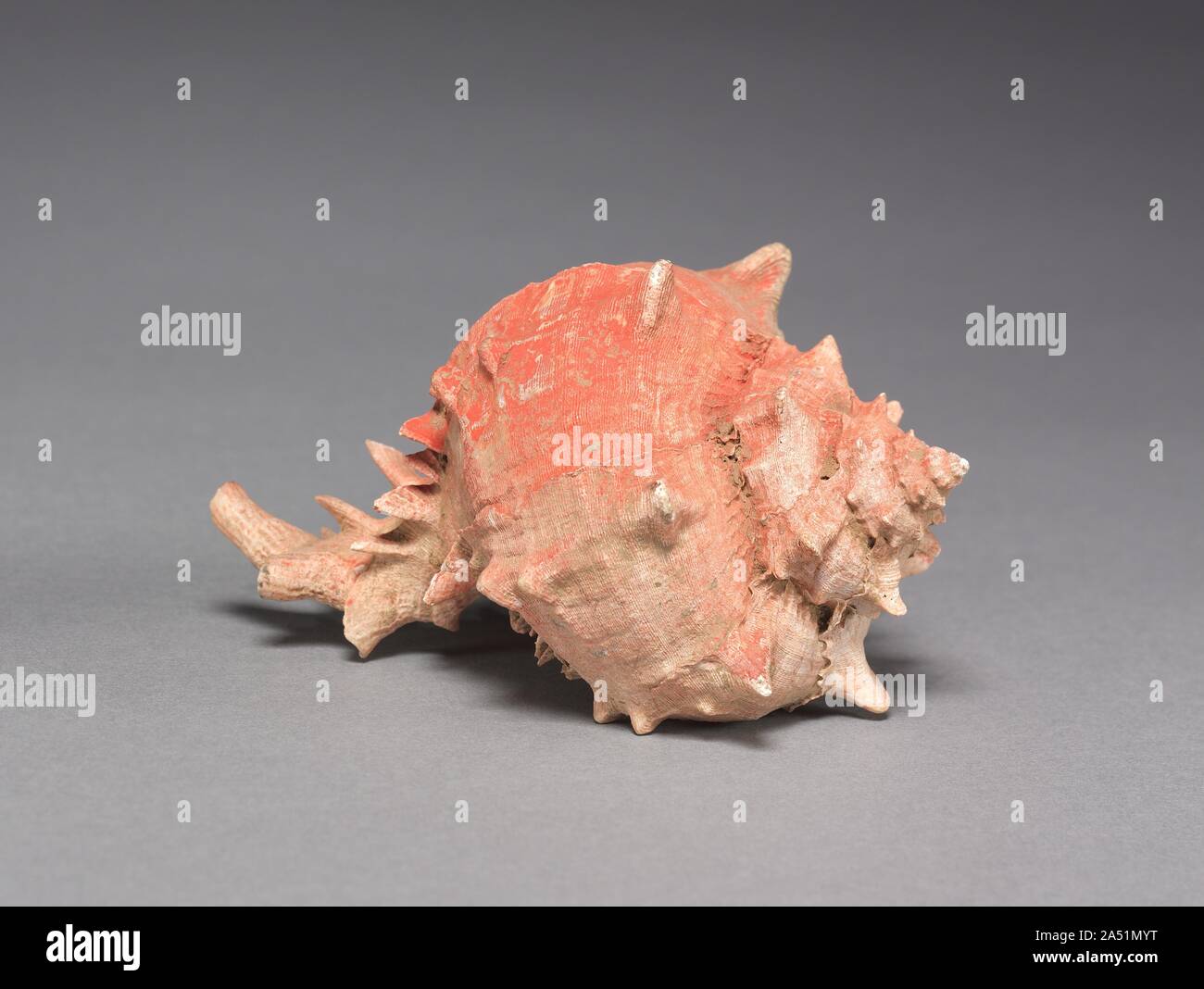 Offering Group: Large Shell, c. 800-1200 Stock Photo - Alamy