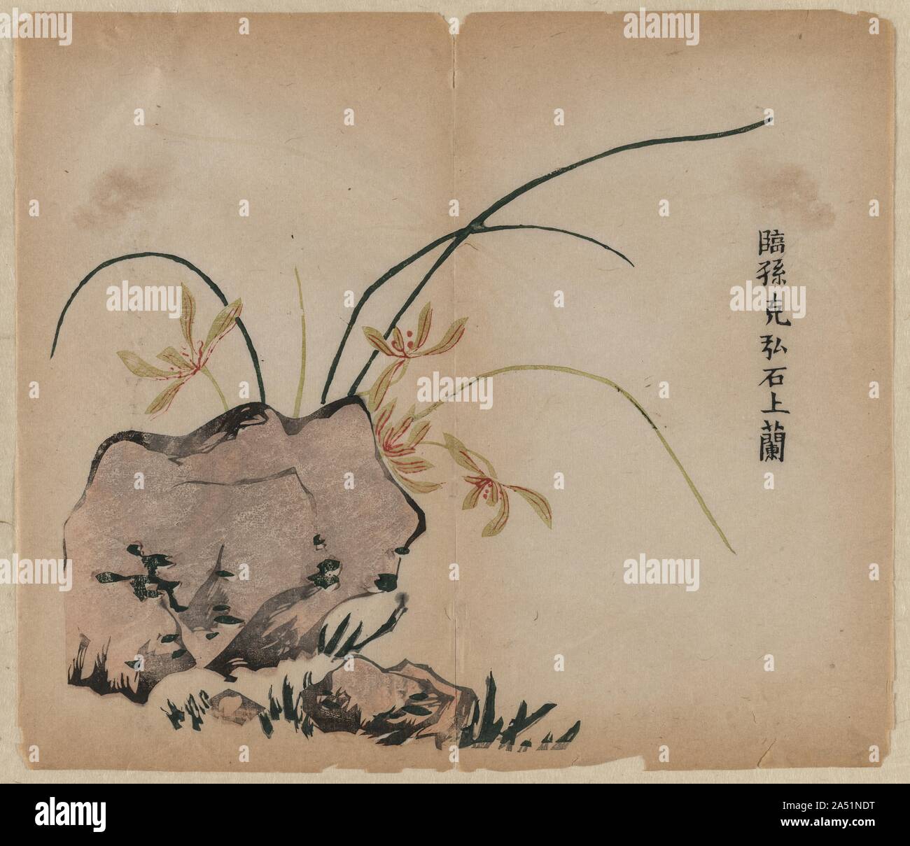 Orchid rocks hi-res stock photography and images - Alamy