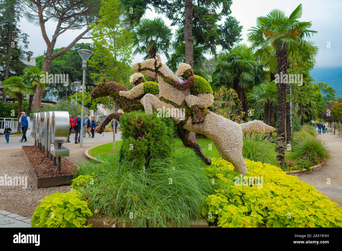 Horse and rider jumping hedge hi-res stock photography and images - Alamy