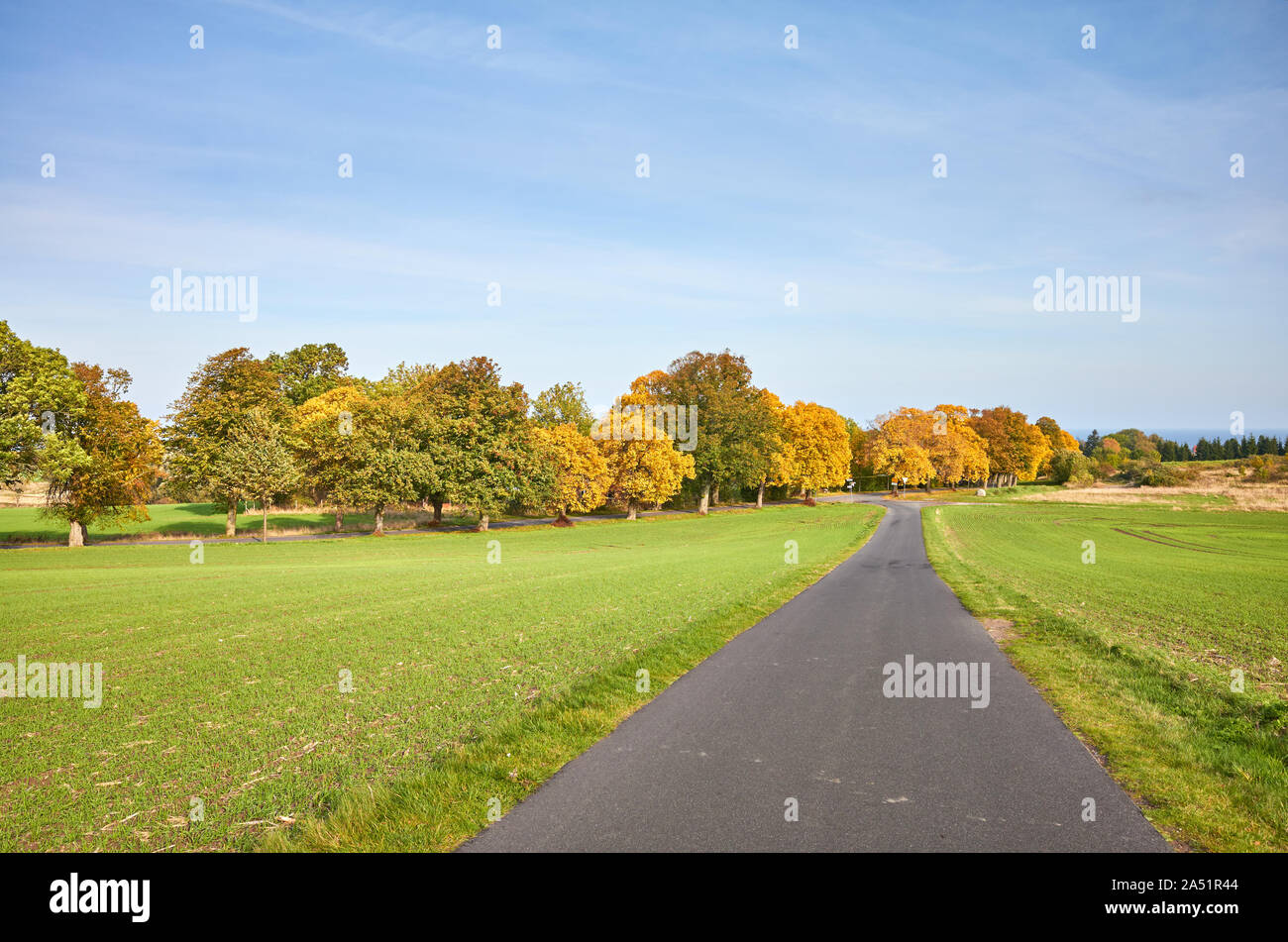 Sunny scenic road hi-res stock photography and images - Alamy