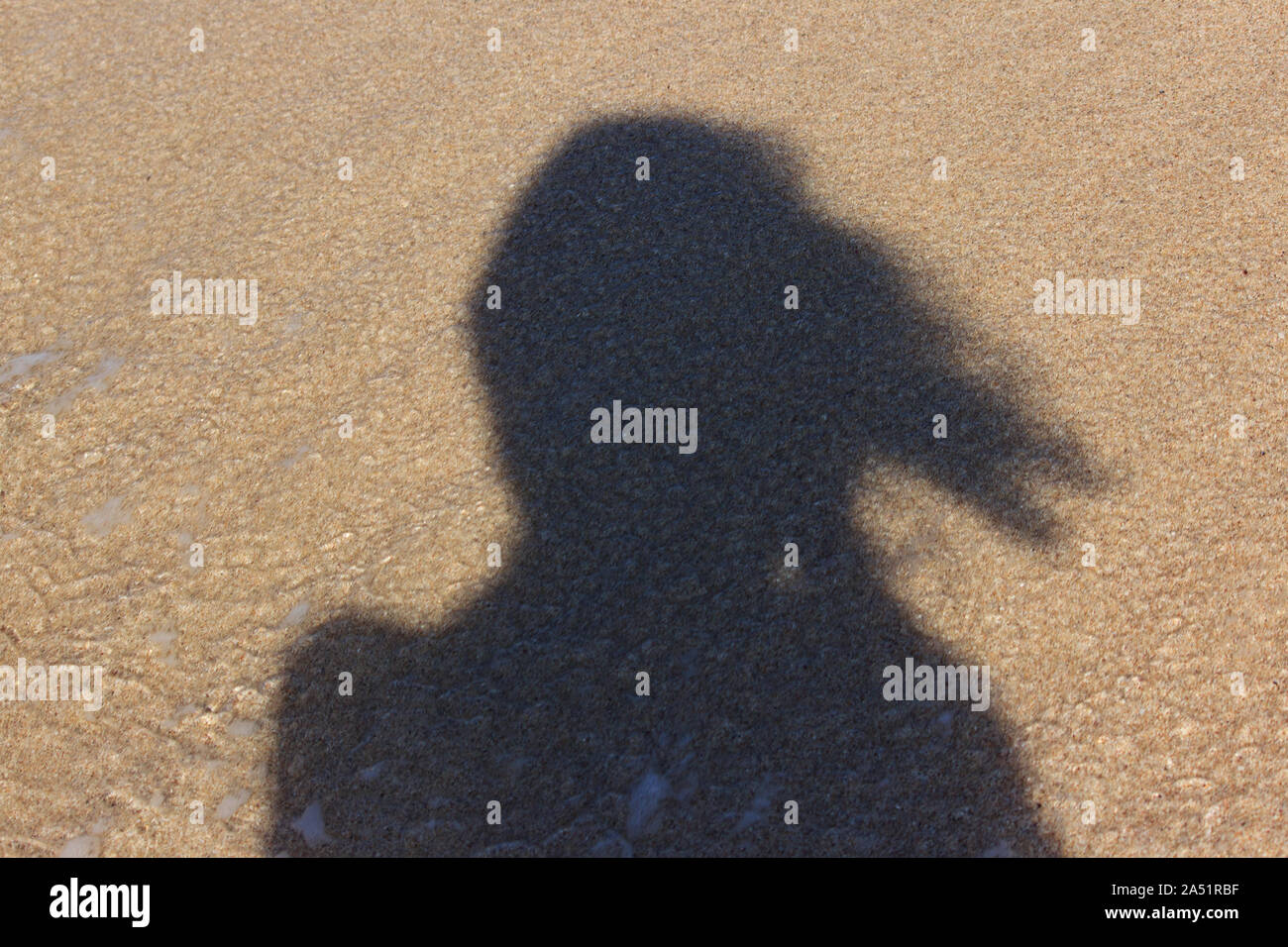 shadow of a girl on the background of the oncoming sea wave. Sandy ...