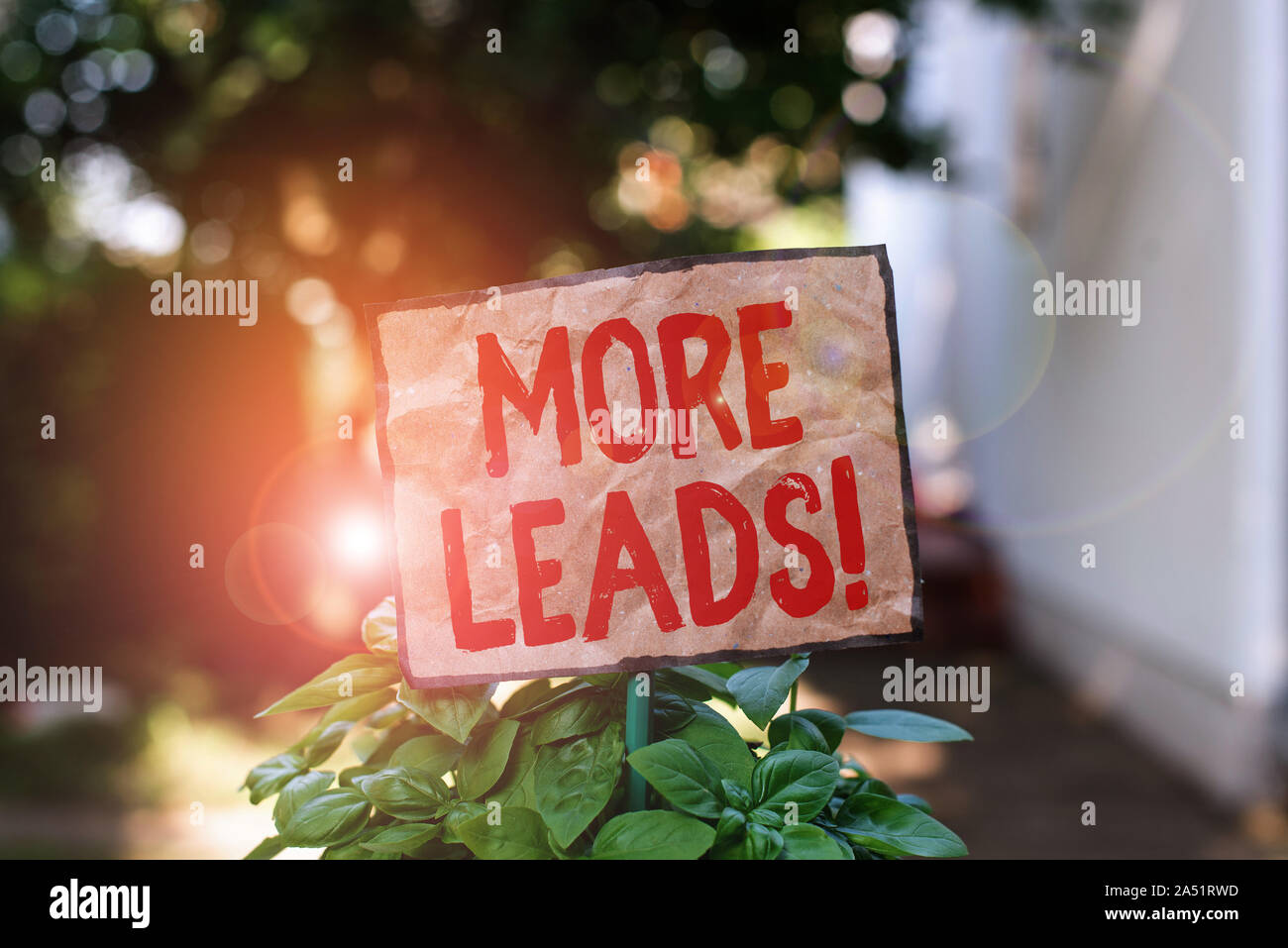 Writing note showing More Leads. Business concept for initiation of ...
