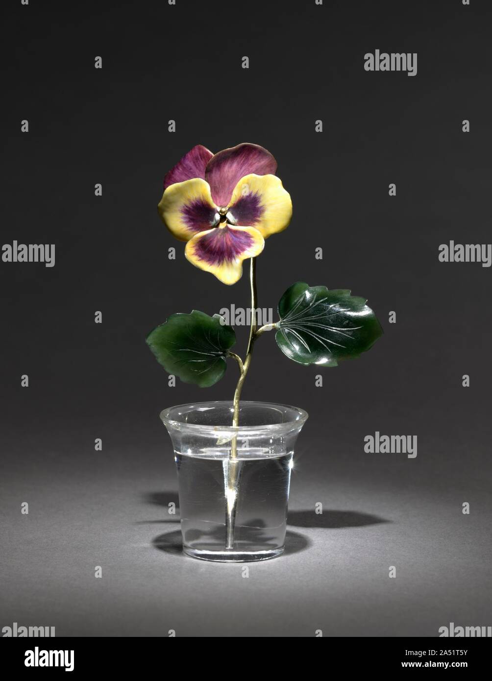 Pansy, late 1800s - early 1900s Stock Photo - Alamy