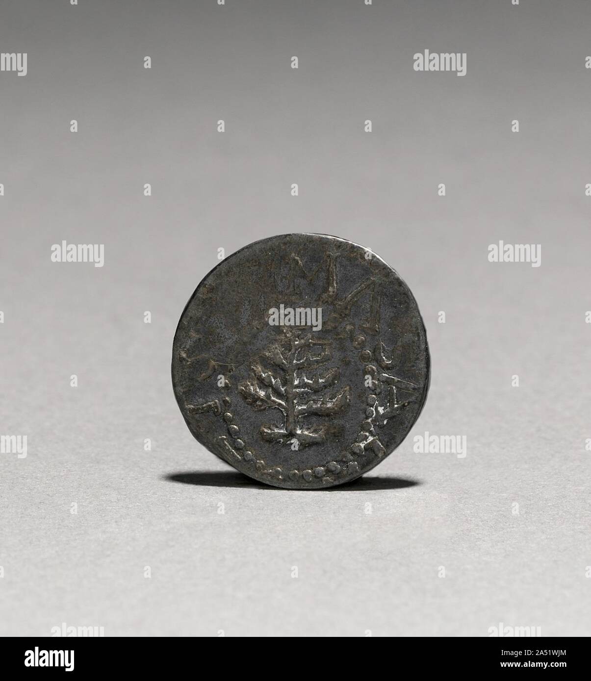 Pine Tree Three Pence , 1652 Stock Photo - Alamy
