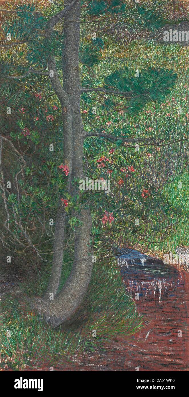 Adam Pine High Resolution Stock Photography and Images - Alamy