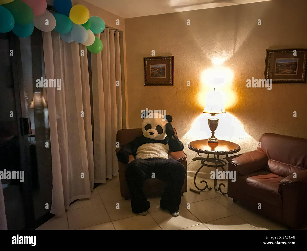 Panda costume hi-res stock photography and images - Alamy