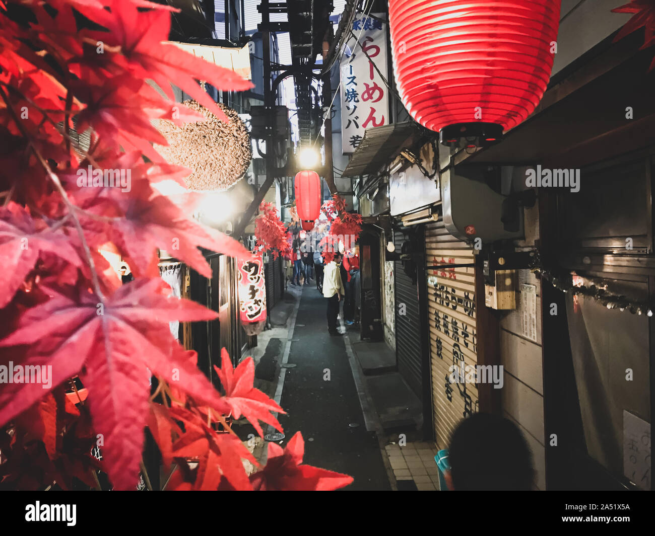 Traditional Japanese market hall in Shinjuku neighborhood Stock Photo ...