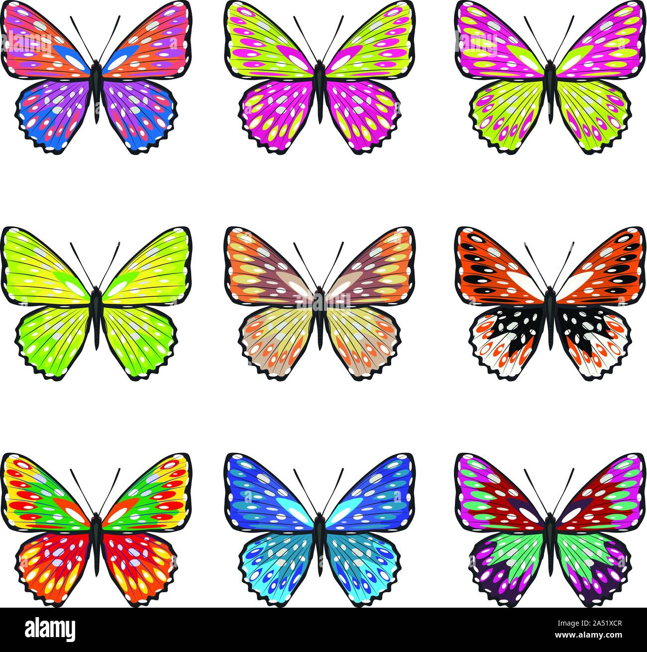 Collection of summer butterflies in different colors on white ...
