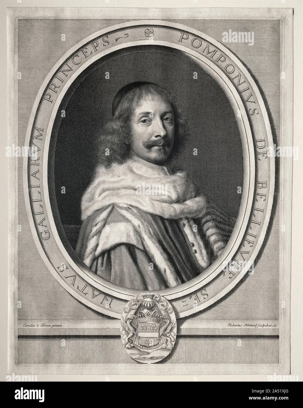 Pompone hi-res stock photography and images - Alamy