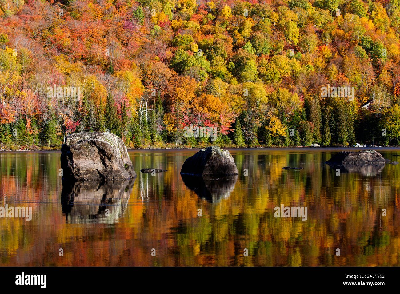 Laurentian Forest landscape in autumn, Quebec, Canda, Sainte-Agathe-des ...