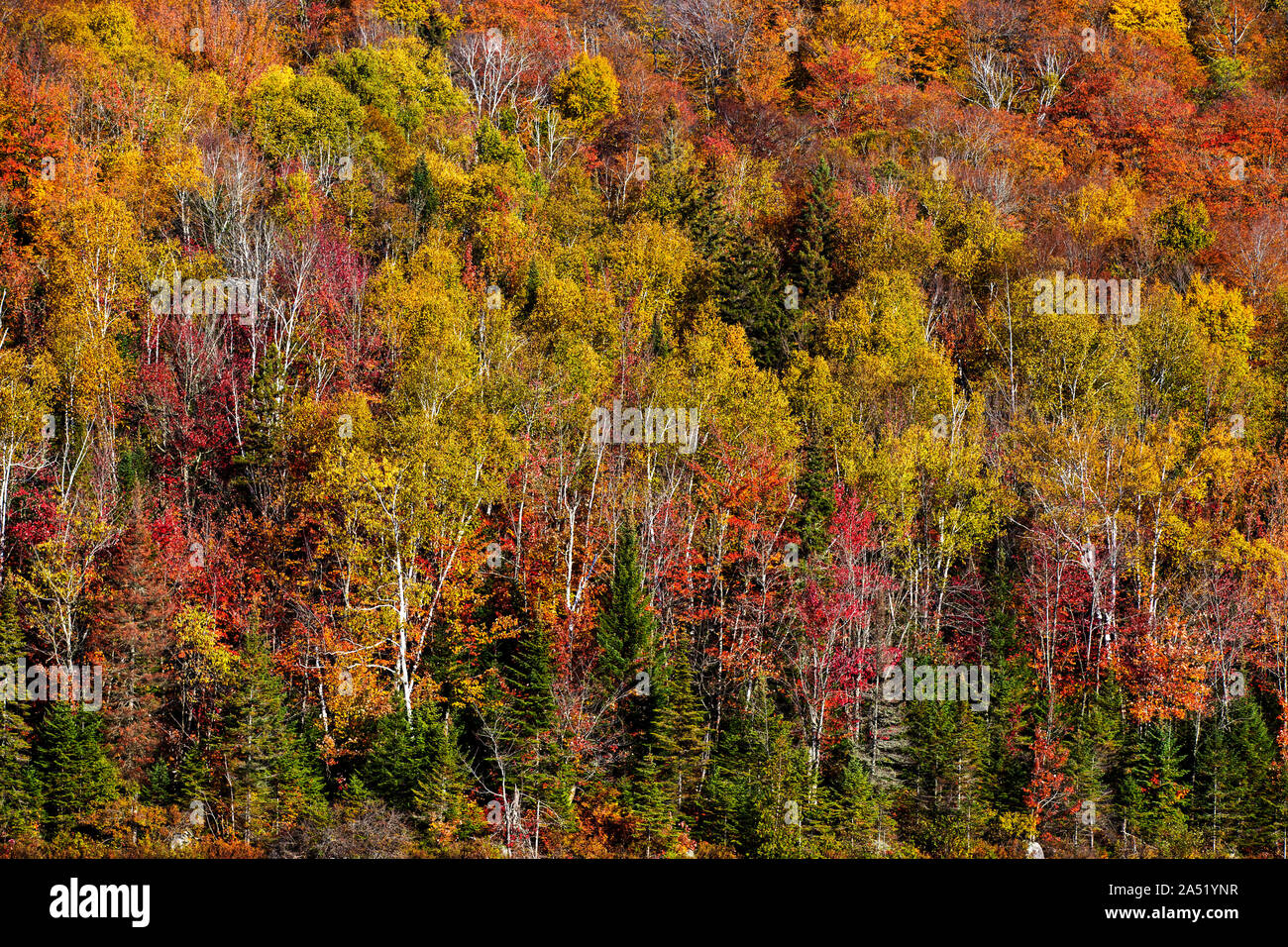 Laurentian mountain hi-res stock photography and images - Alamy