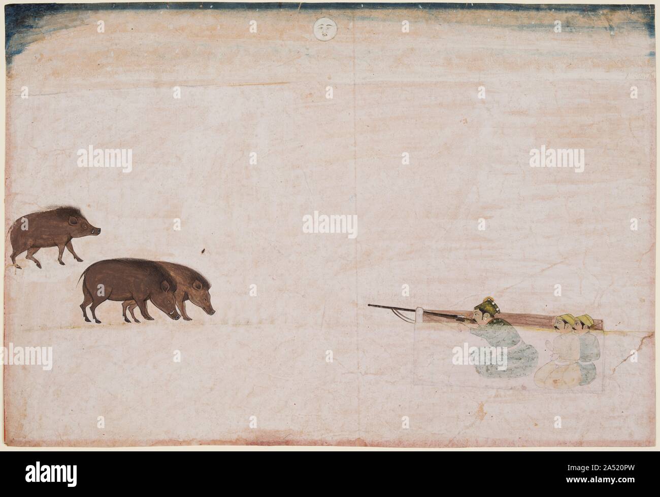 Wild boar and the ram hi-res stock photography and images - Alamy