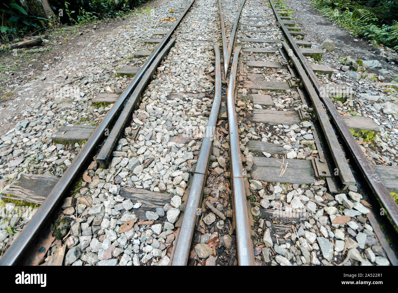 two railway tracks junction on forest grounds Stock Photo - Alamy