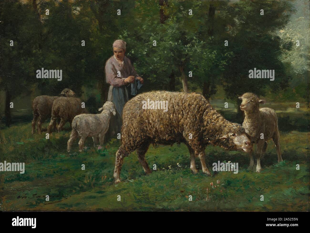 Shepherdess with sheep hi-res stock photography and images - Alamy