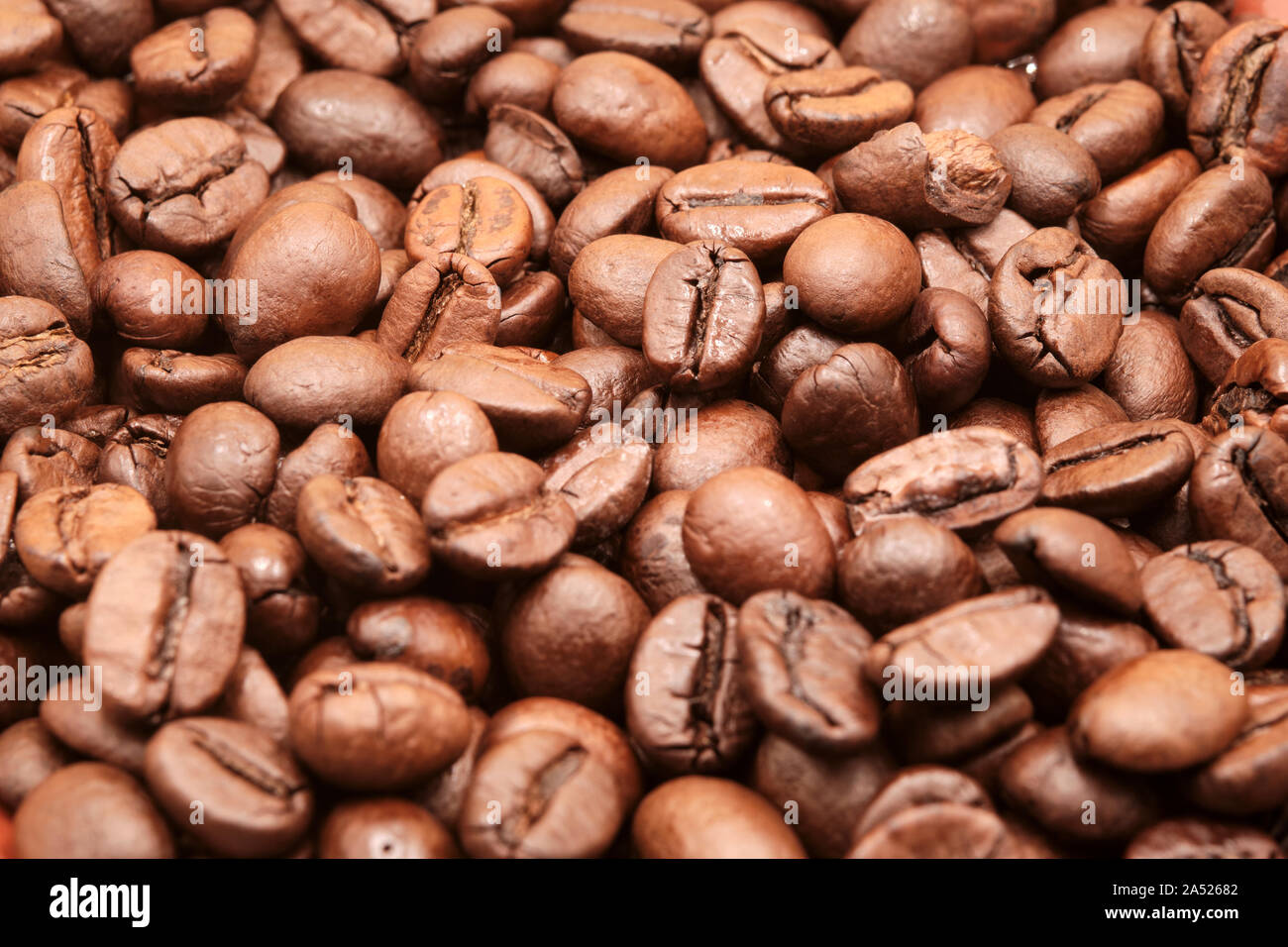 Arabica coffee beans hi-res stock photography and images - Alamy