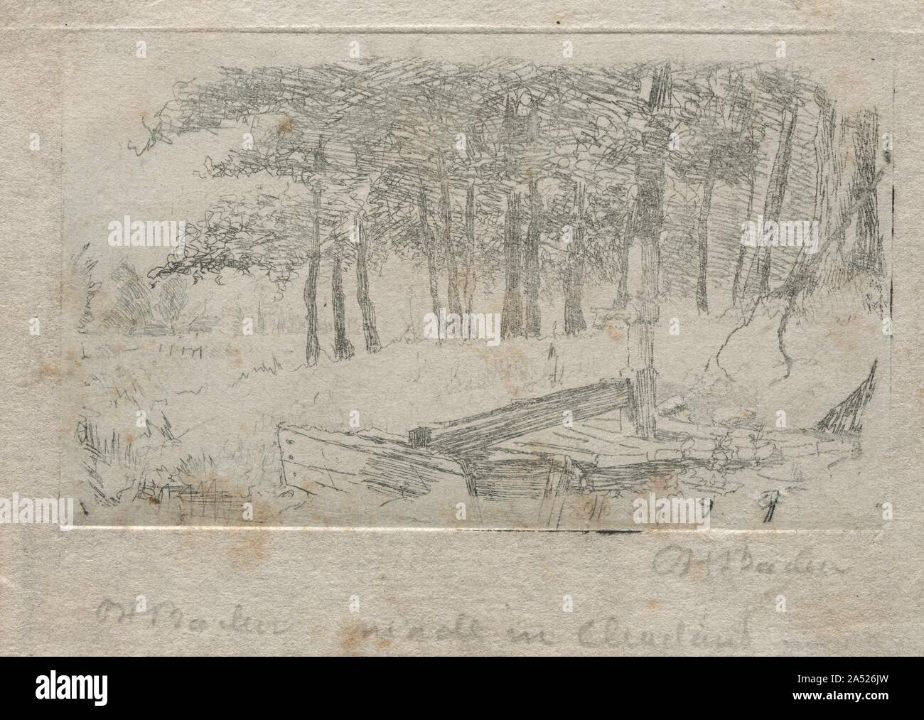Sketch from Nature, 1879 Stock Photo - Alamy