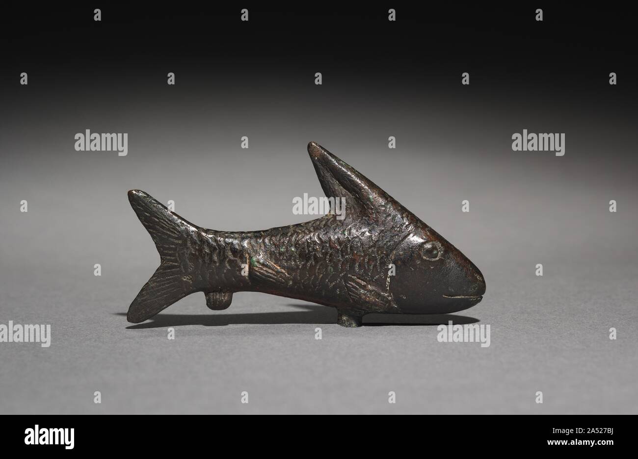 Lepidotus fish hi-res stock photography and images - Alamy