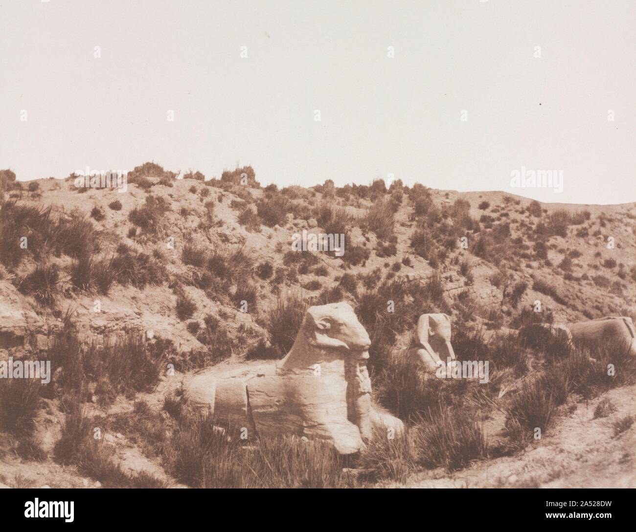 Sphinxes with a Human Head and with a Ram Head at Point Y. Karnak ...