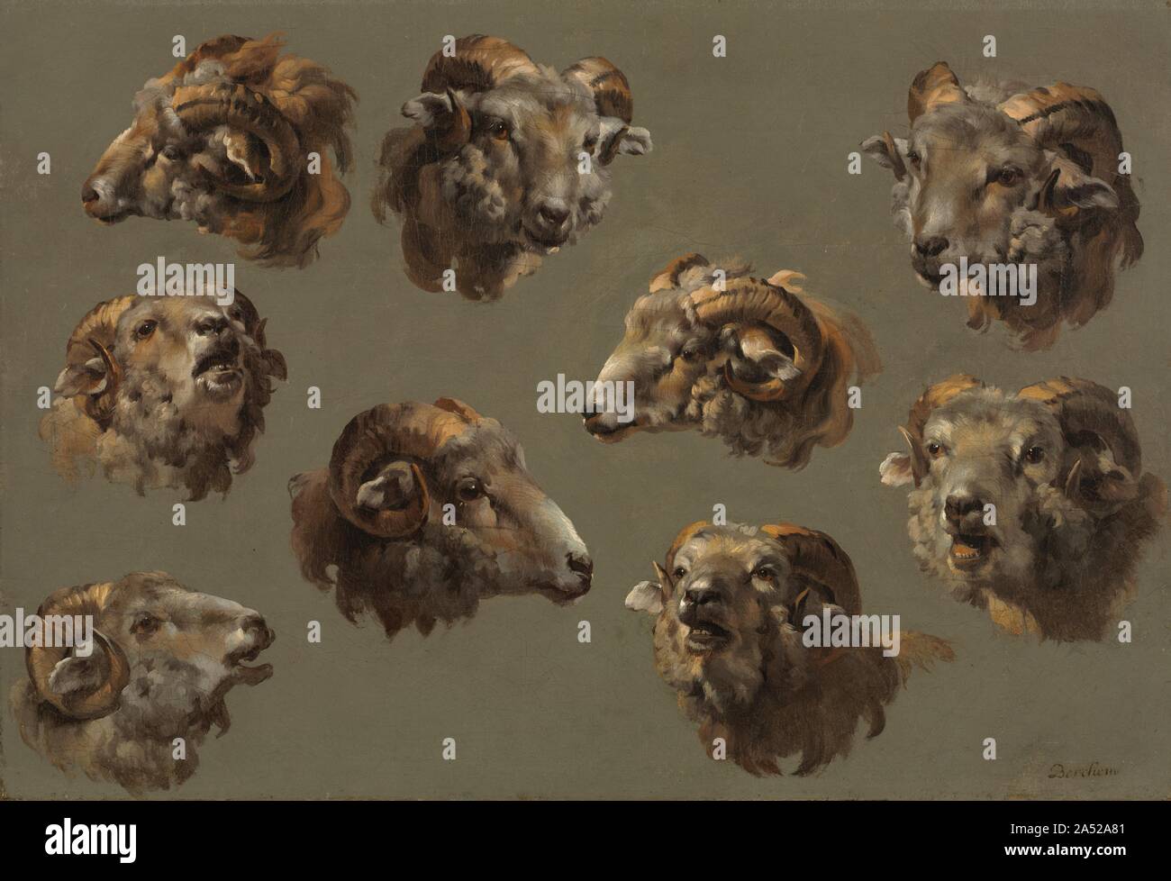 Ram heads hi-res stock photography and images - Alamy