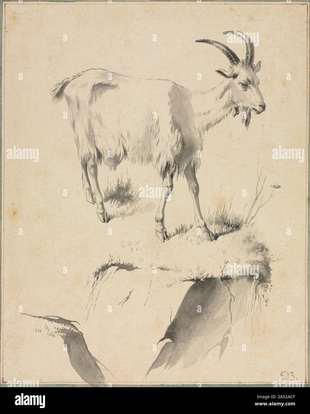 Study of a Goat, 1700s Stock Photo - Alamy