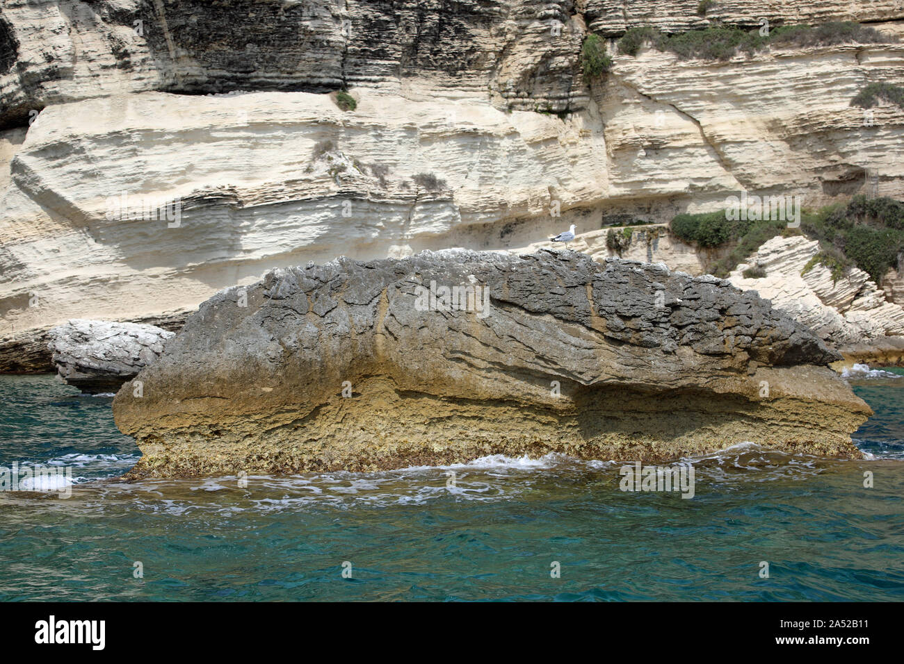 dangerous rock on the sea with a seagull Stock Photo - Alamy