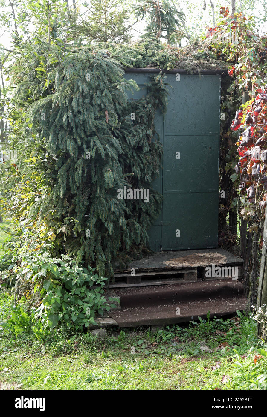 hidden hunting lodge of hunter in mountain with many branches of trees ...