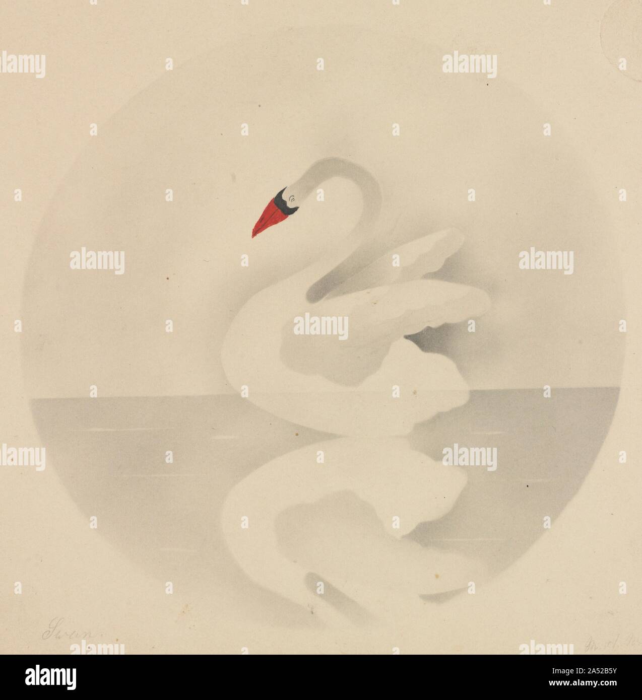 Mary swan hi-res stock photography and images - Alamy