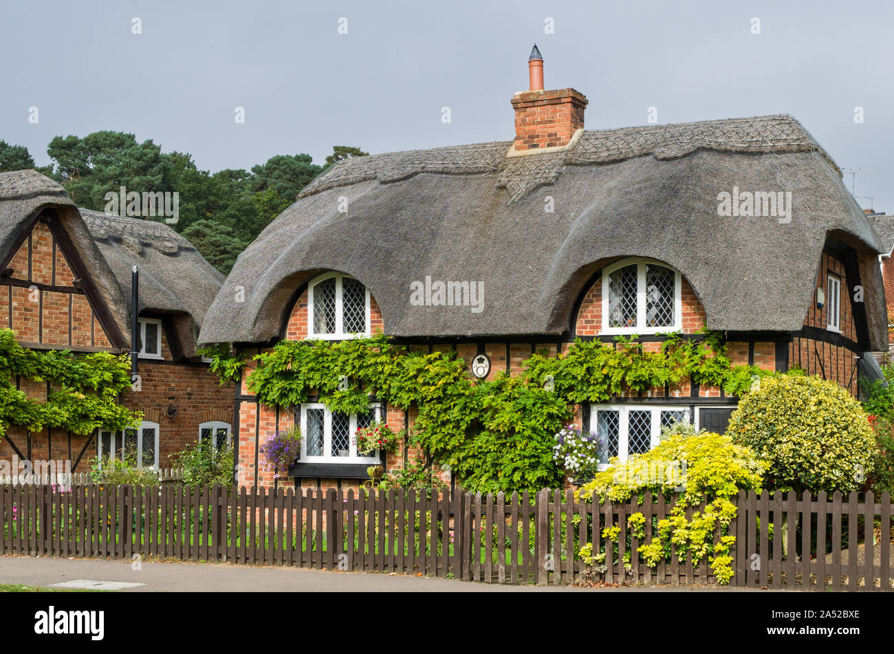 Attractive, quintessentially English, thatched cottage, Ampthill ...
