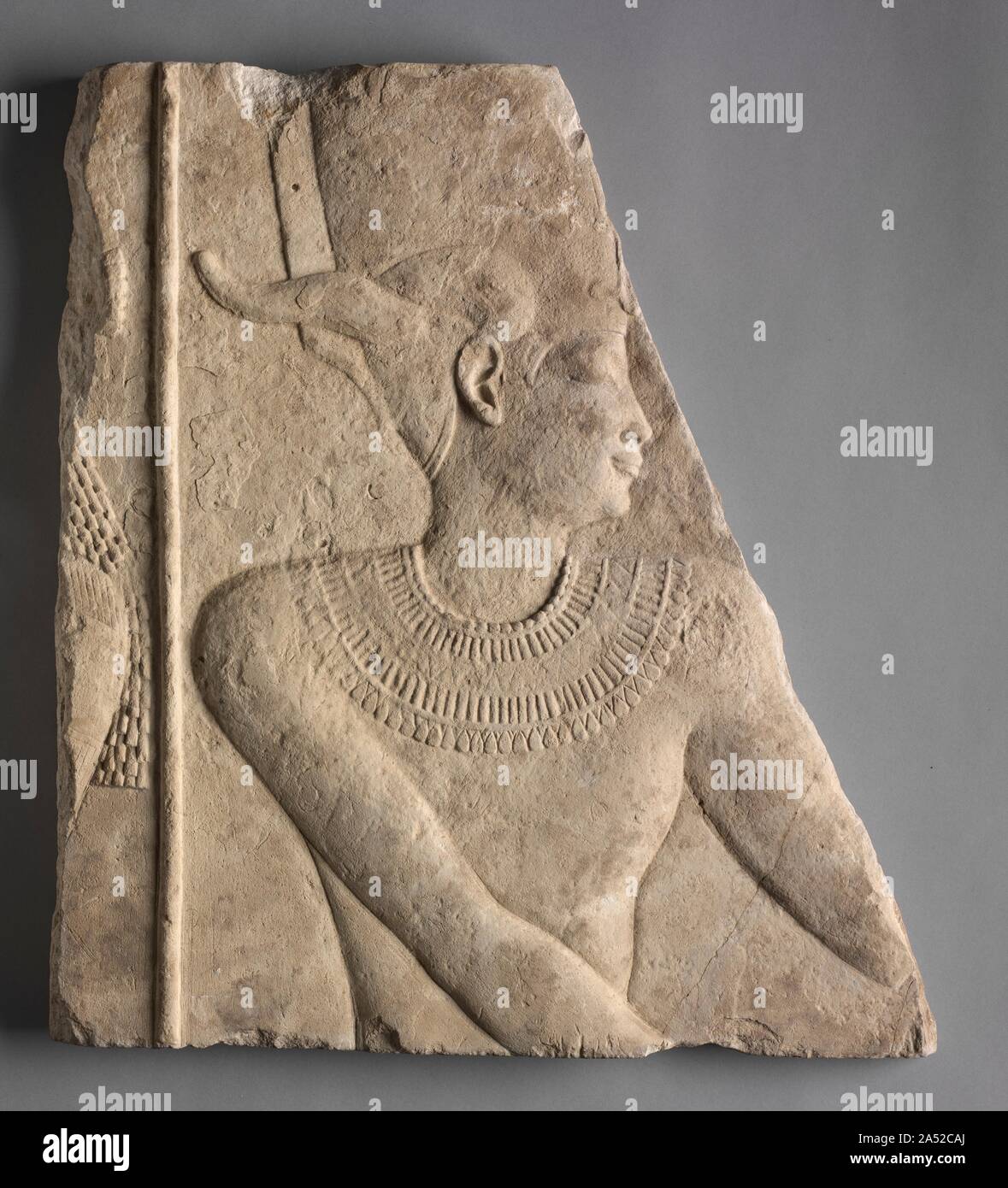 Snub line hi-res stock photography and images - Alamy