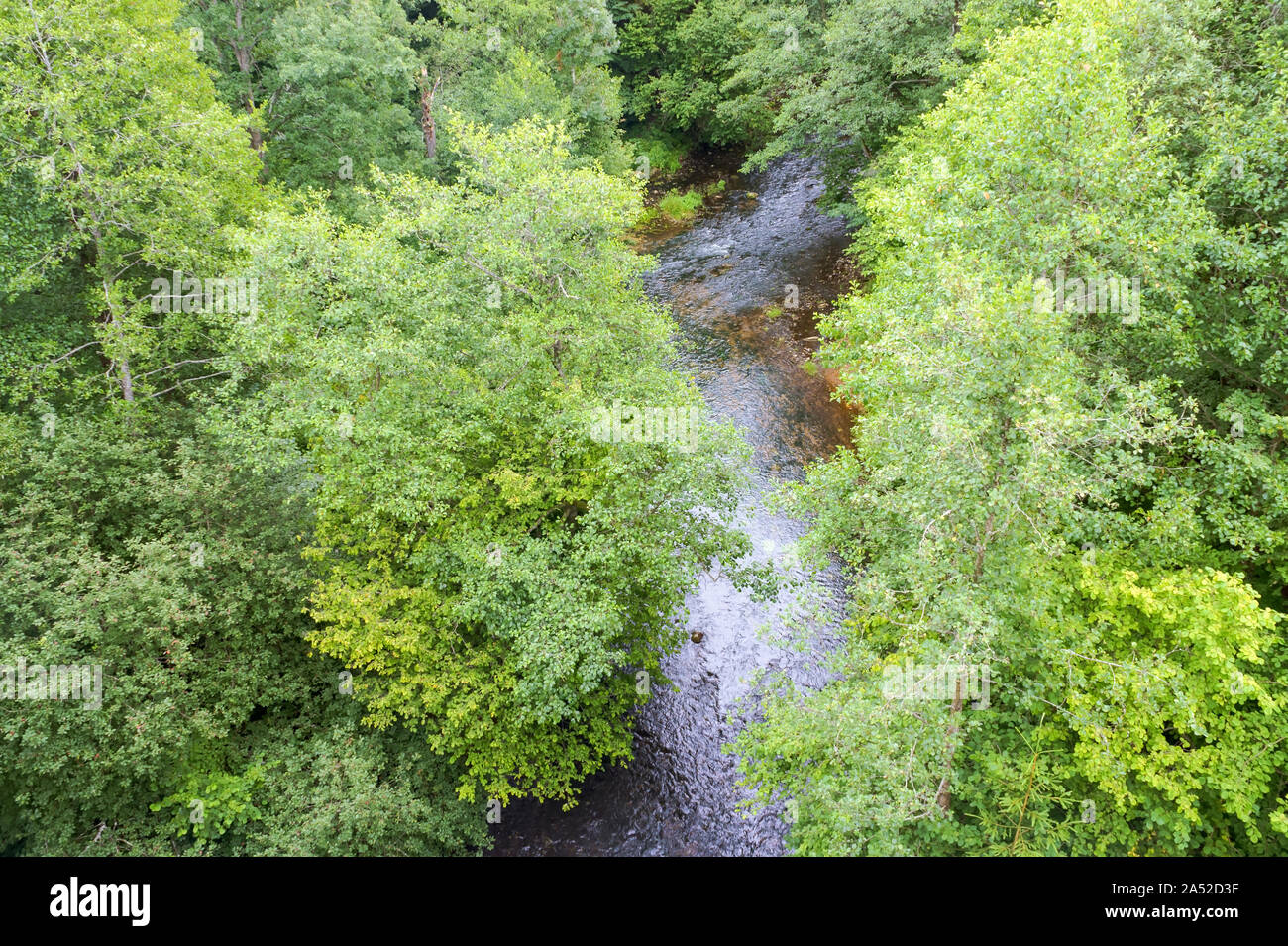 forest small river, the river bottom under the bridge Stock Photo - Alamy