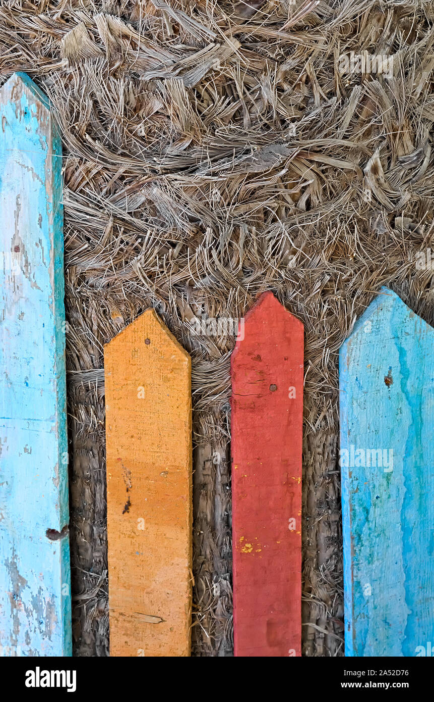 Hairy tree bark hi-res stock photography and images - Alamy