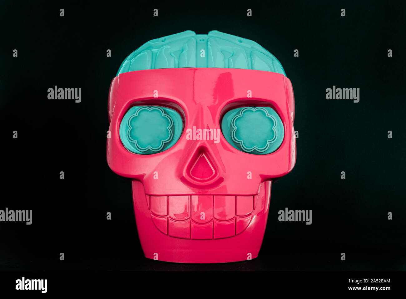 Plastic human skulls hi-res stock photography and images - Alamy
