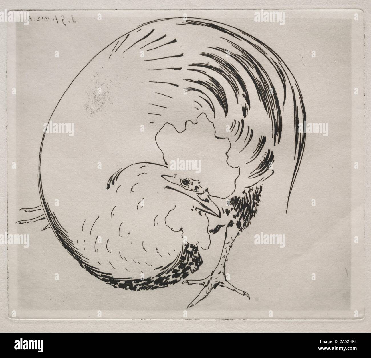 High fired service hi-res stock photography and images - Alamy