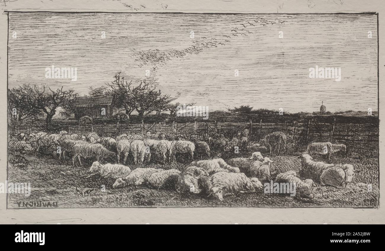 The Large Sheepfold, original impression 1862, printed in 1921 Stock ...