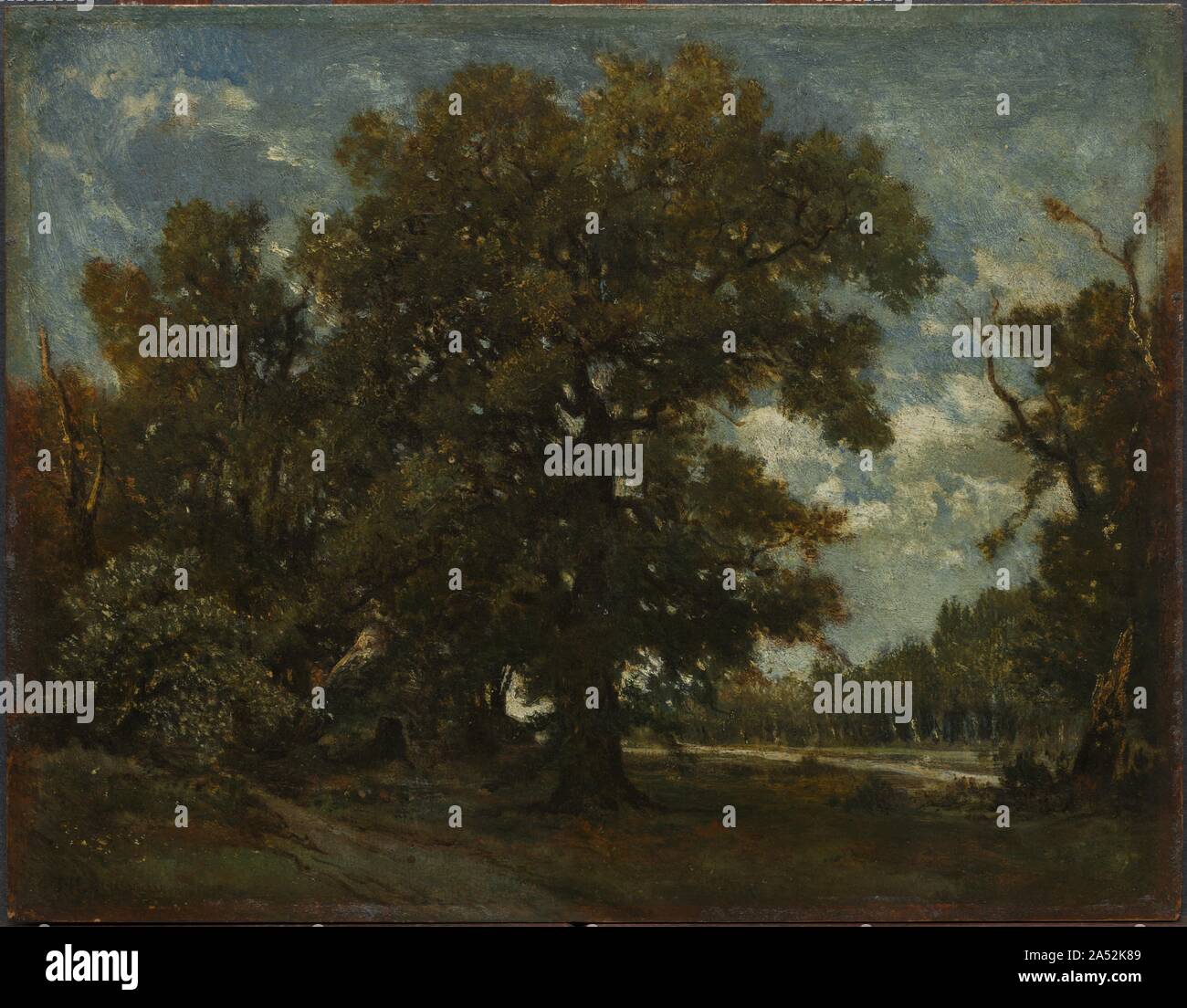The Oak Tree, 19th century Stock Photo - Alamy