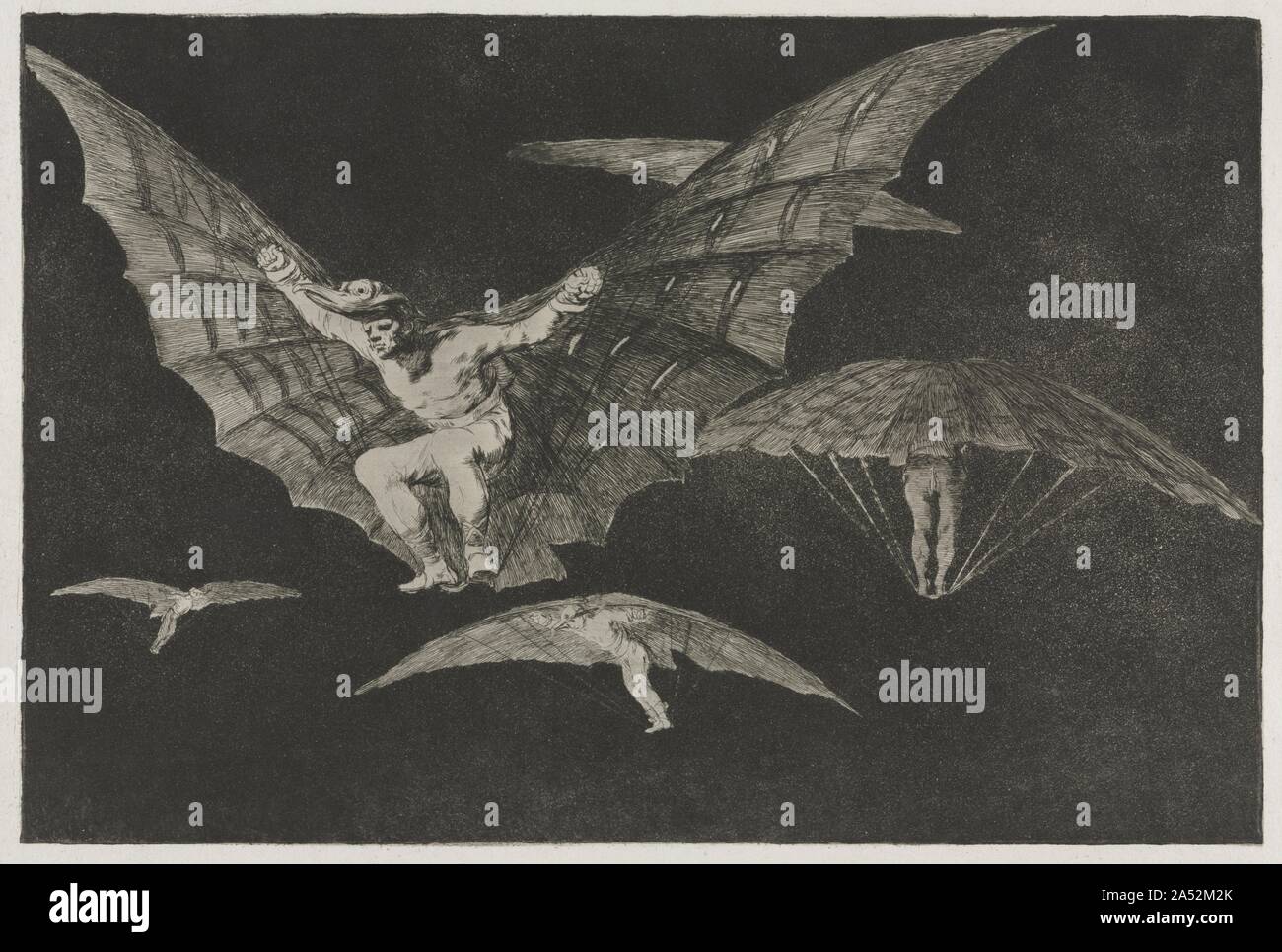 The Proverbs: A Way of Flying, 1864 Stock Photo - Alamy