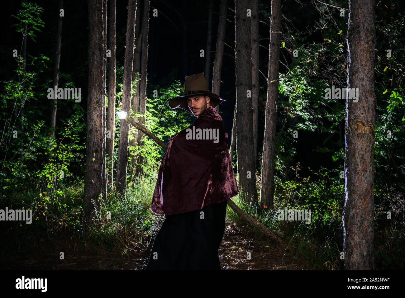 Wizard Of Oz Dark Forest