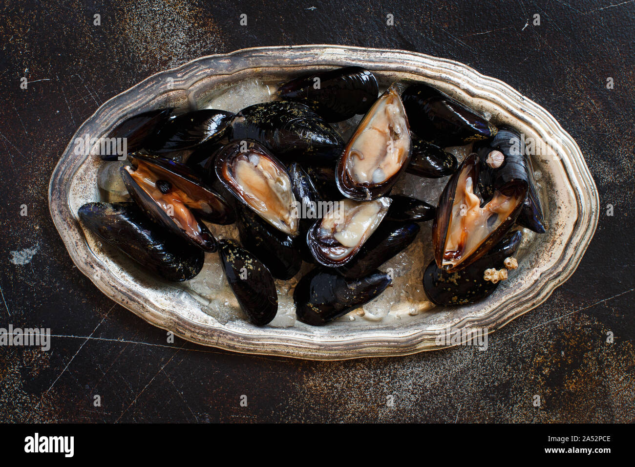 Fresh uncooked italian mussels top view Stock Photo - Alamy