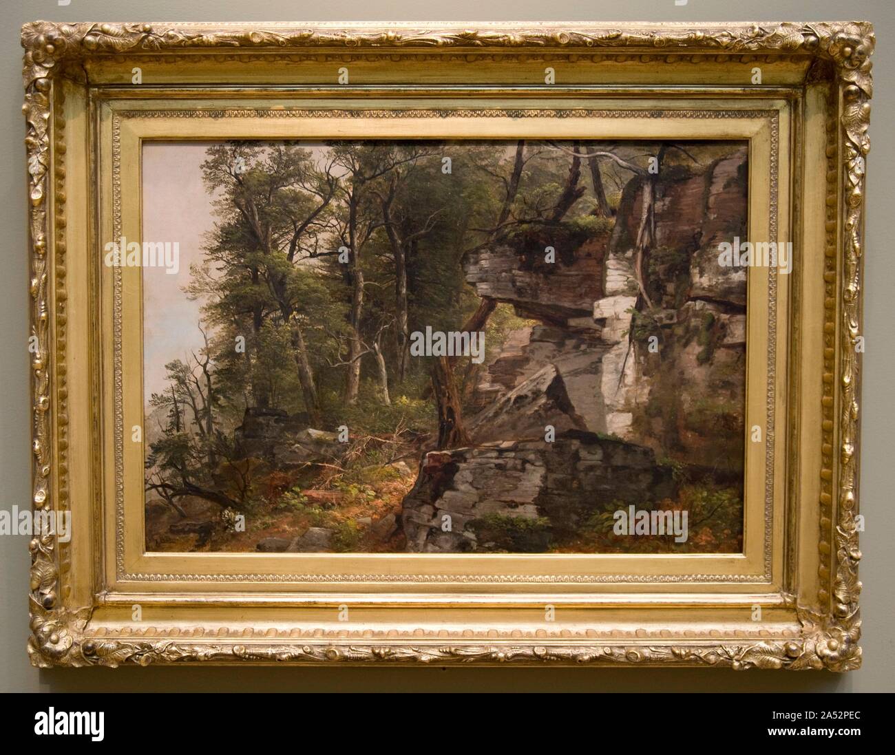 Trees on a Rocky Hillside, c. 1849. Durand was one of the first ...