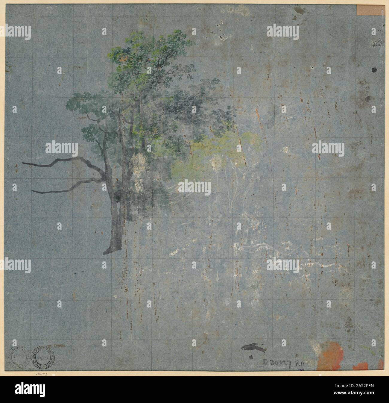 Tree Studies, first half 1800s Stock Photo - Alamy